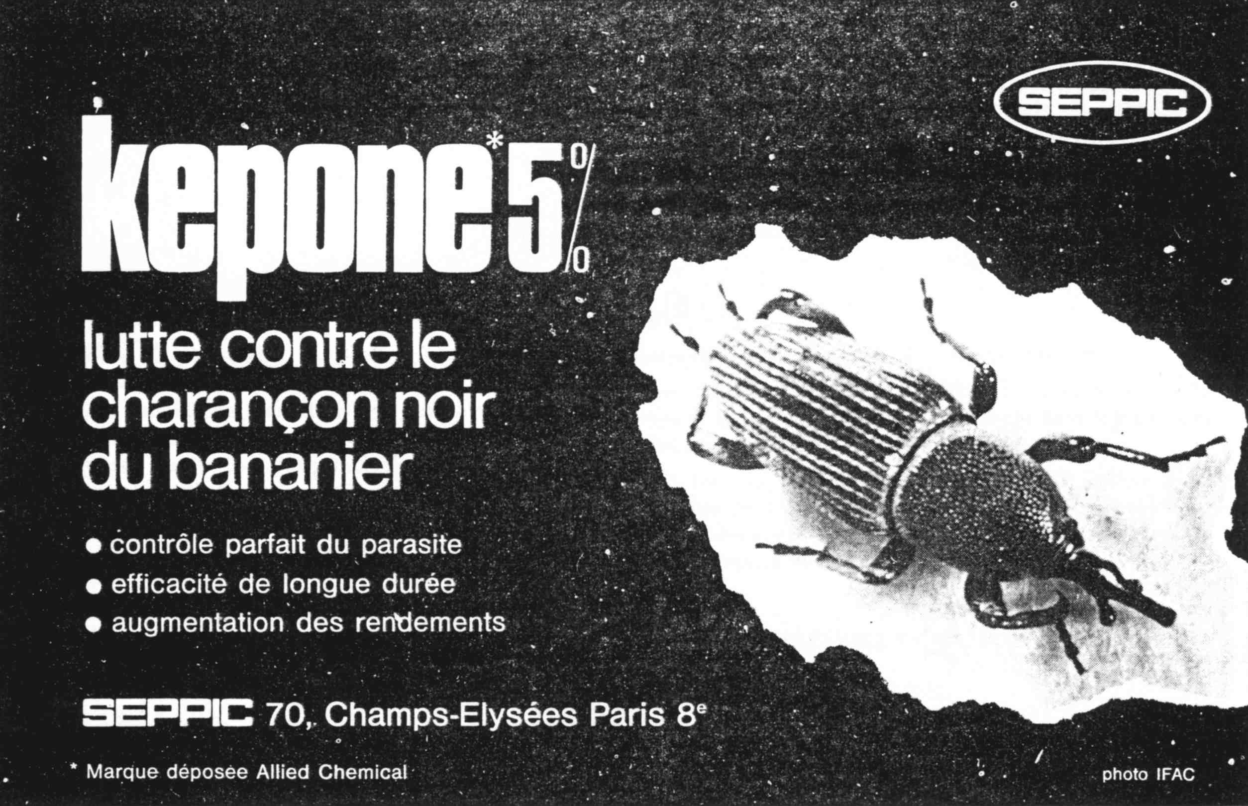 Dimanche du Documentaire : CHLORDECONE, UN POISON DURABLE | Dulac Cinémas