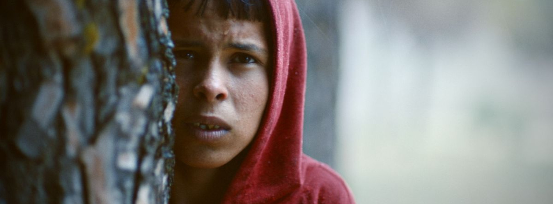 Portail | Dulac Cinémas